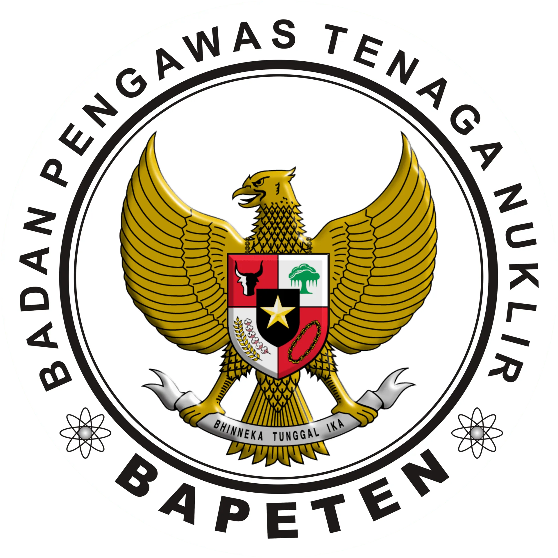 Inspeksi Keselamatan Radiasi dari Sumber Radiasi Pengion oleh BAPETEN ...